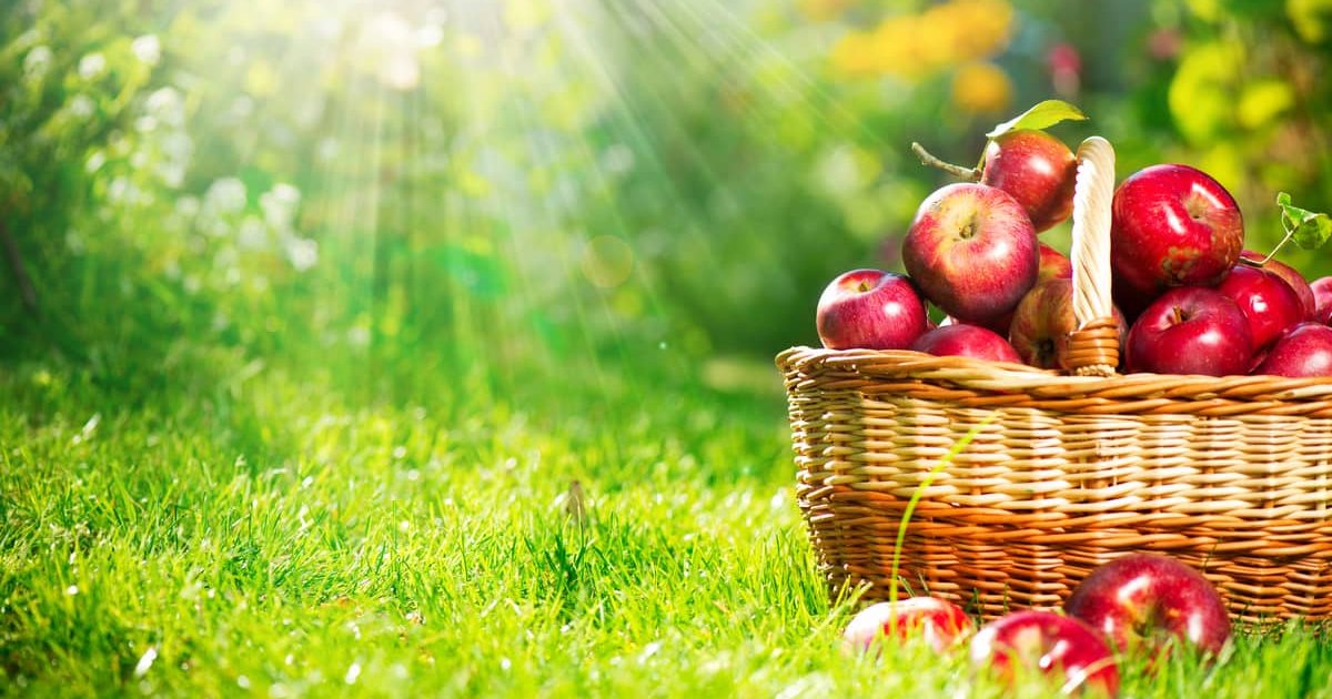 Спецпроєкти за Серпень 2025 — PMG.ua