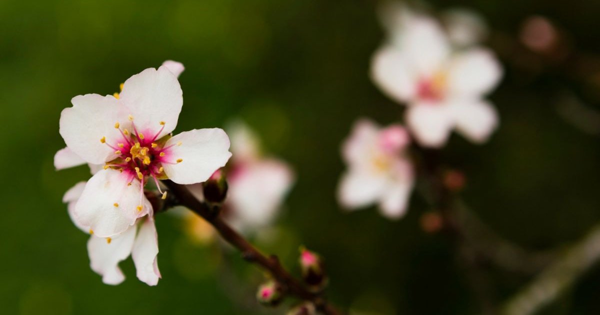 Спецпроєкти за Квітень 2025 — PMG.ua