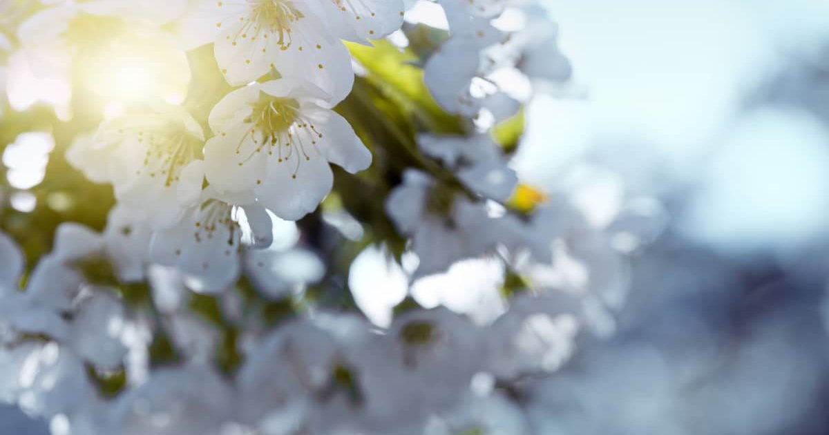 Березень 2024 — PMG.ua