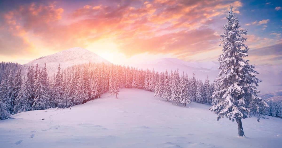 Січень 2025 — PMG.ua