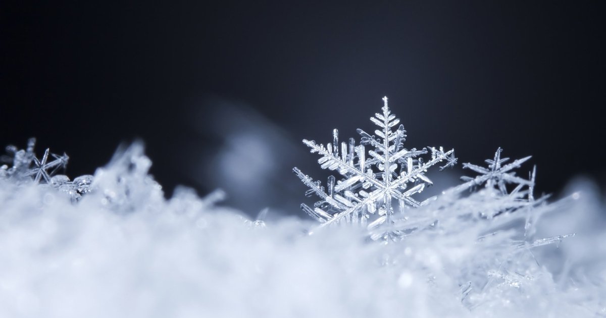 Лютий 2025 — PMG.ua