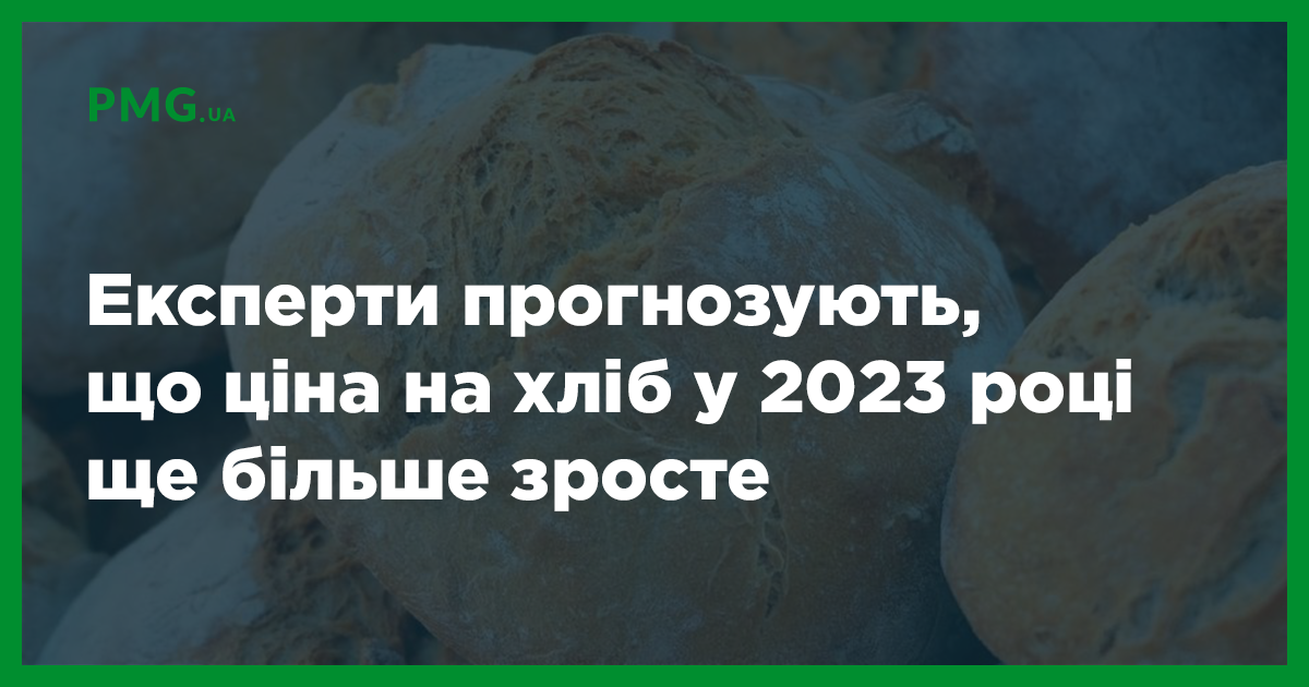 Експерти прогнозують, що ціна на хліб у 2023 році ще більше зросте – Новини економіки | PMG.ua