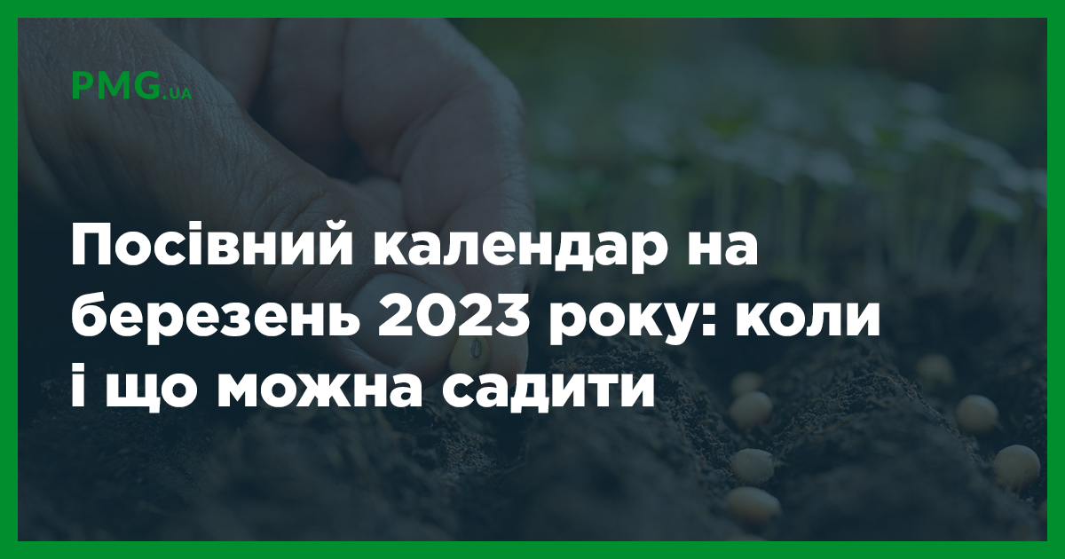Посівний календар на березень 2023 року: коли і що можна садити | PMG.ua – новини Мукачева та ...